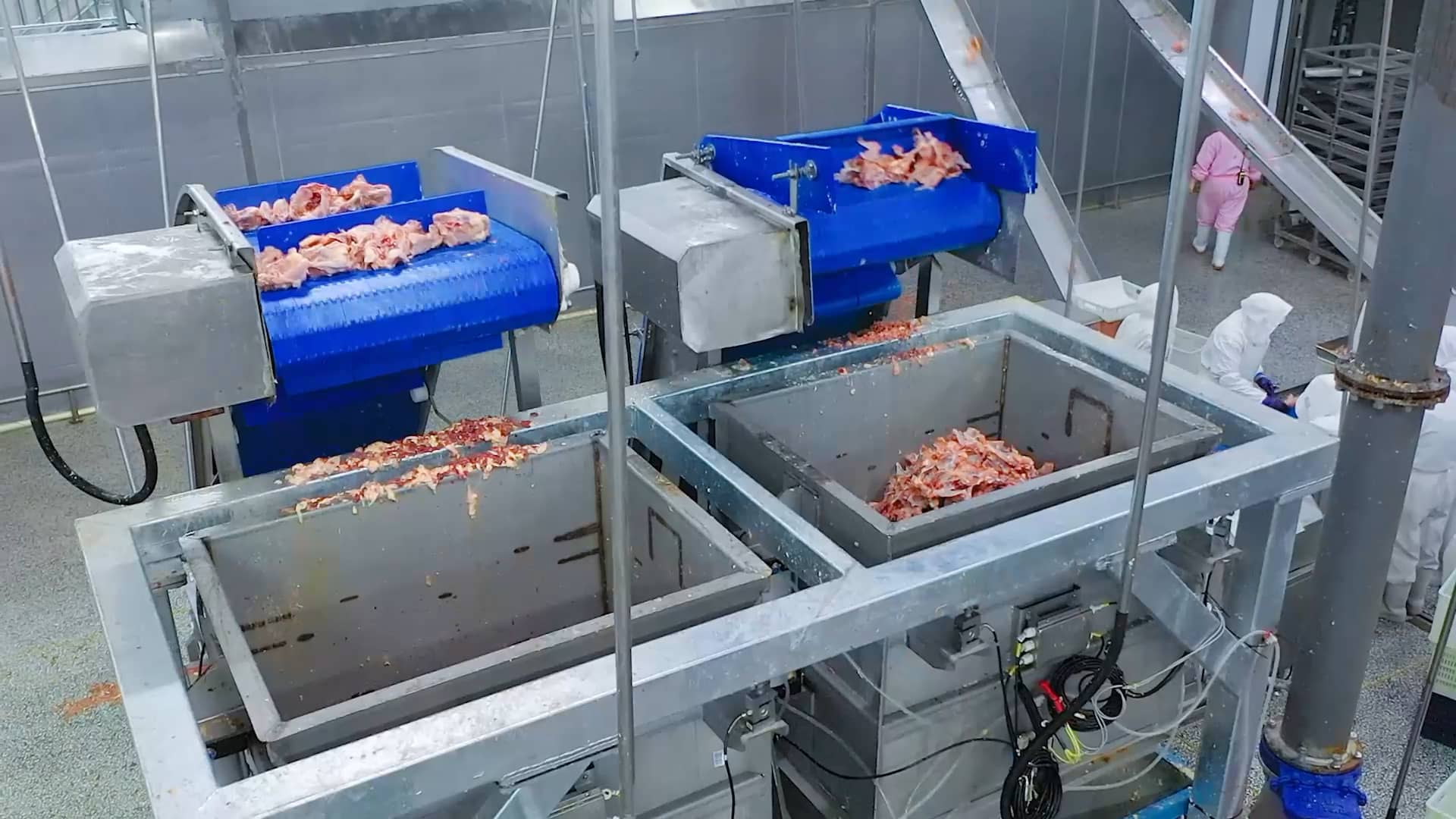 Multi-application and efficient recycling of slaughter waste - Cheng Zhu