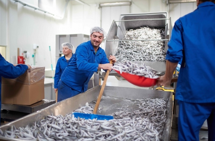 From Fish Waste to Fertilizer: How One Fish Rendering Plant Is Closing ...
